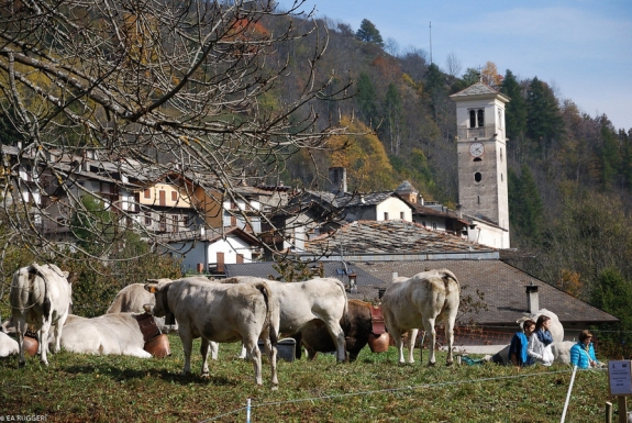 Casteldelfino, una storia millenaria - Cosa vedere in Val Varaita ...